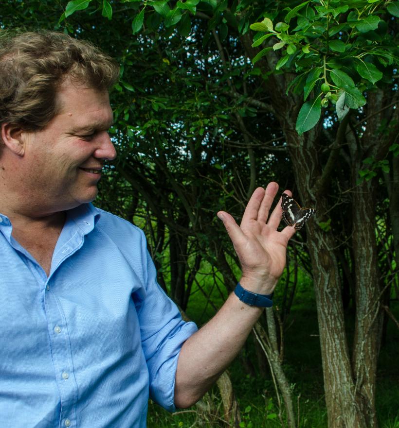 Knepp Castle owner to share insights into rewilding his family estate | Royal Agricultural ...